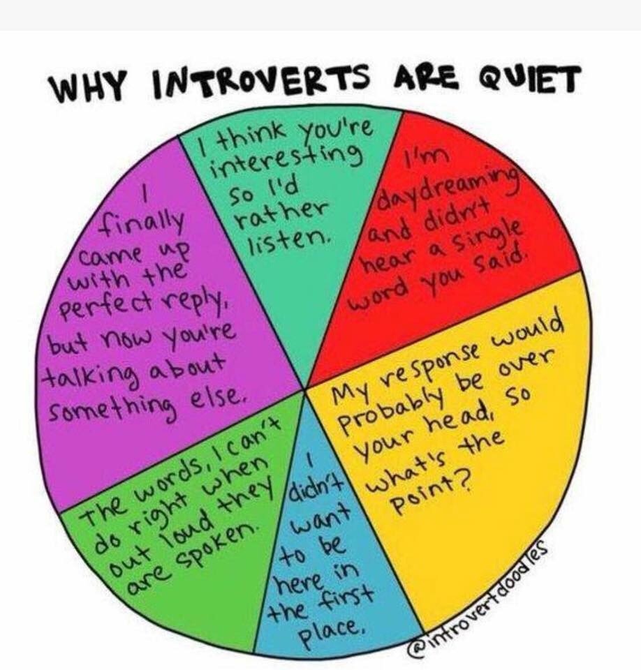 Introverts in Business – thatnursewrites